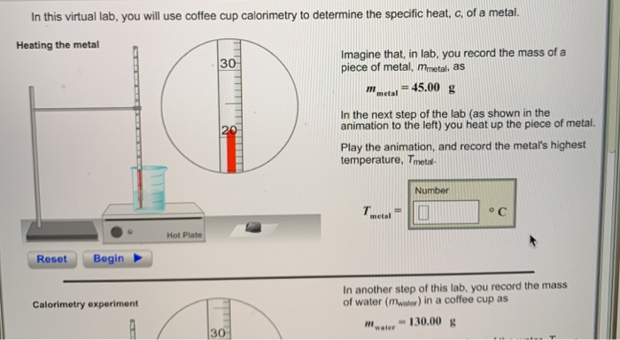 Solved In this virtual lab, you will use coffee cup | Chegg.com