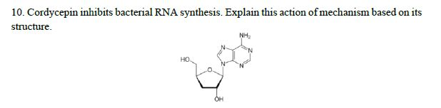 Solved 10. Cordycepin inhibits bacterial RNA synthesis. | Chegg.com
