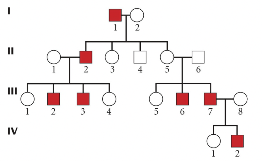 Solved GENETICS Is this autosomal recessive or X-linked | Chegg.com