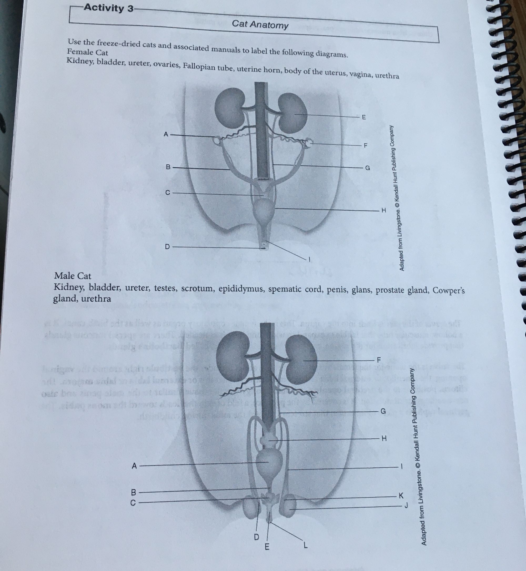 Solved I need to label these diagrams with the following | Chegg.com