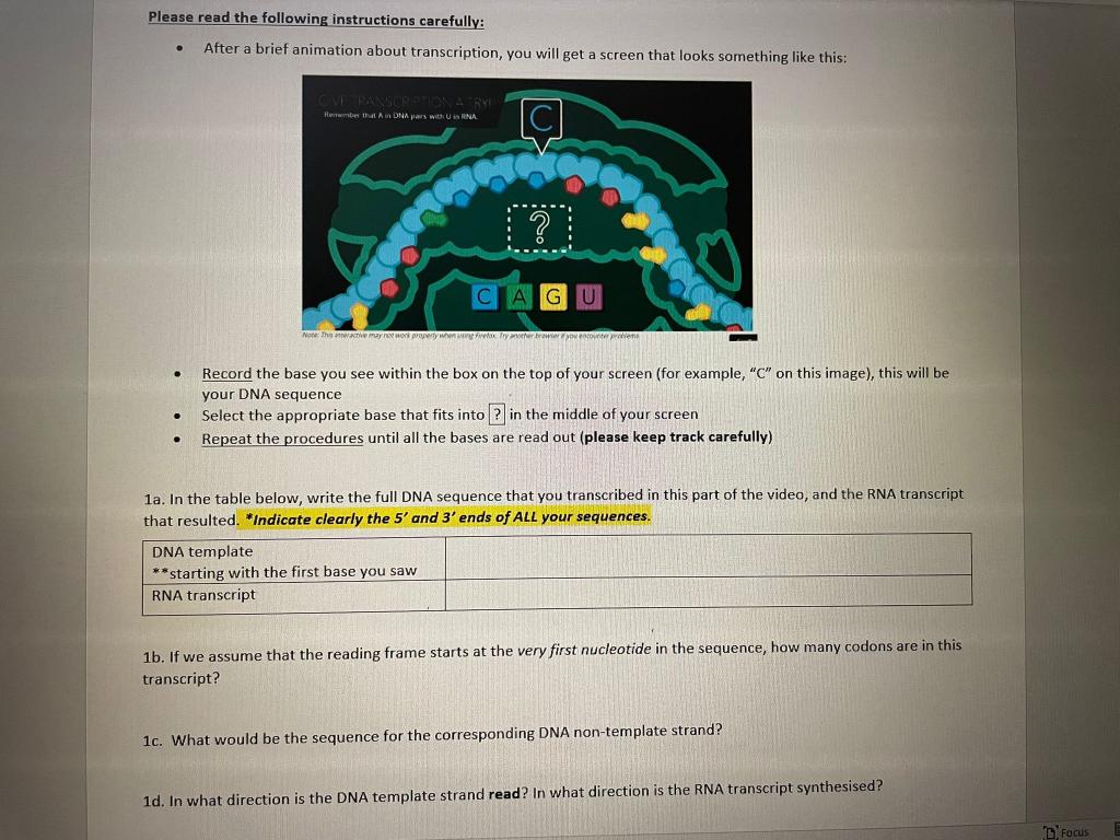 Solved Please read the following instructions carefully: | Chegg.com