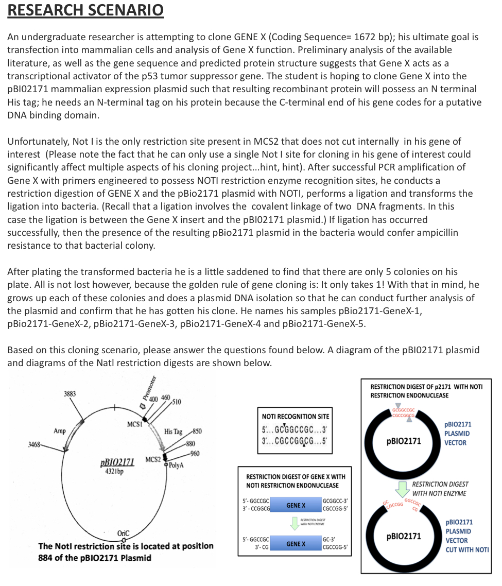 Solved Given the following research scenario, in the | Chegg.com