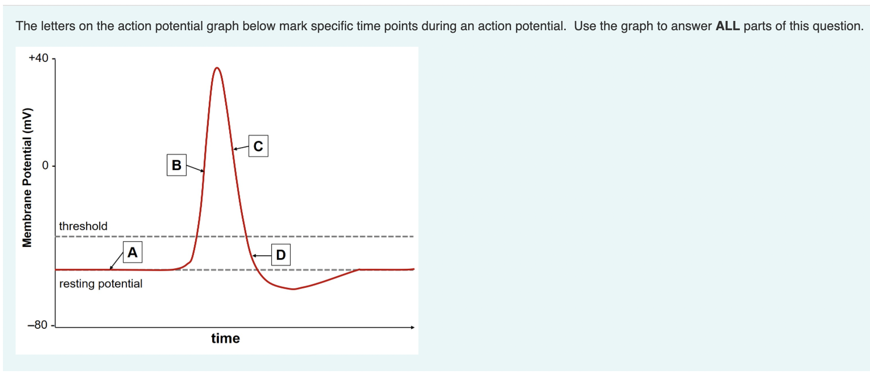 Blank Action Potential Diagram