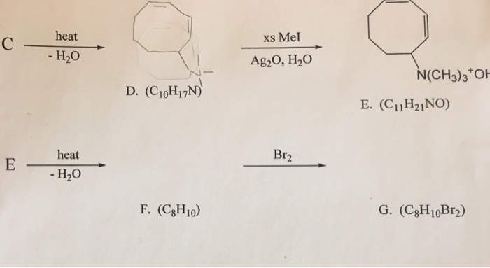 Solved heat - H20 xs Mel Ag2O, H2O N (CH3)3"OH D. (C10HI2N) | Chegg.com
