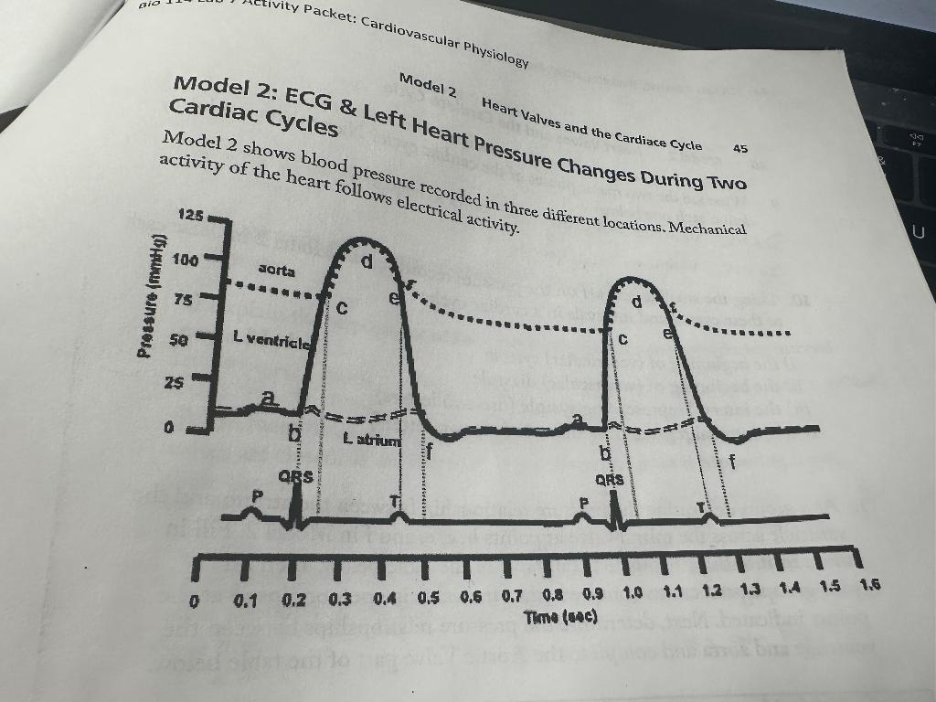 Solved Model 2: ECG \& Left Medelz Heart Pressure Changes | Chegg.com