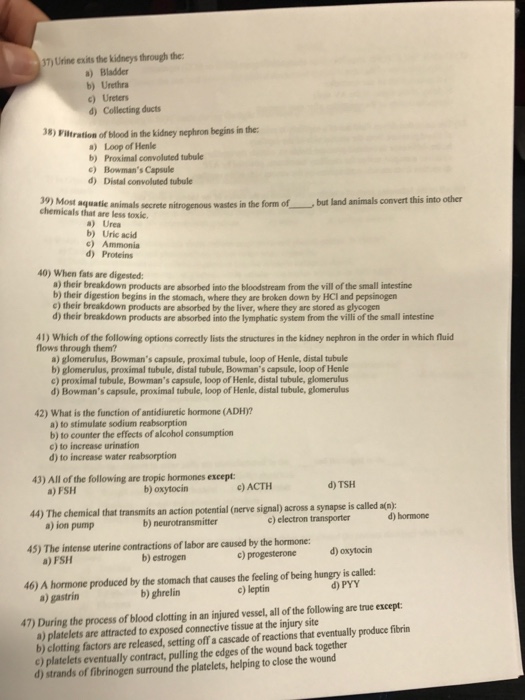 Solved: Urine Exits The Kidneys Through The: Bladder Ureth... | Chegg.com