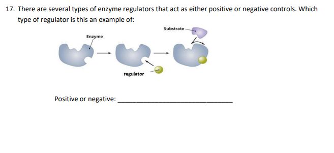 Solved 17. There are several types of enzyme regulators that | Chegg.com