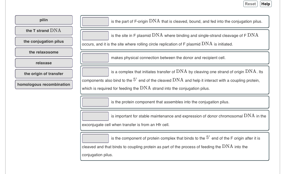 Solved Reset Help pilin the T strand DNA the conjugation | Chegg.com