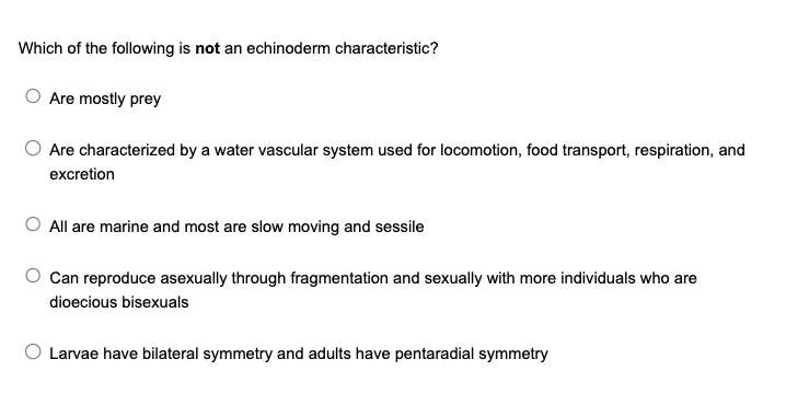 Solved Which of the following is not an echinoderm | Chegg.com