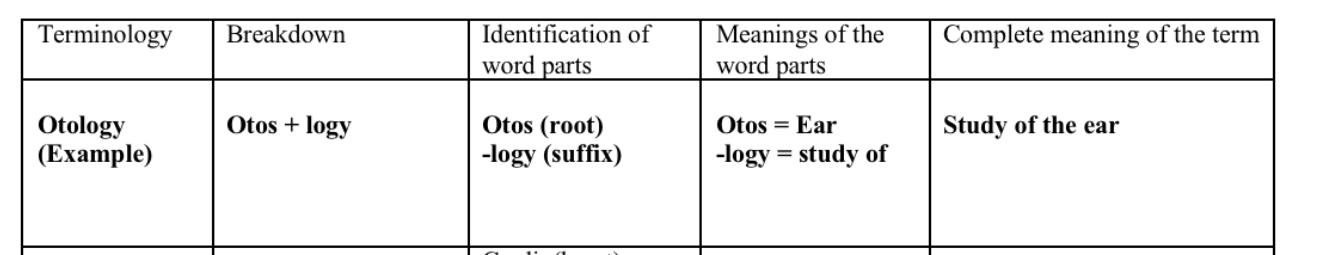 Solved Terminology Breakdown Identification of word parts | Chegg.com