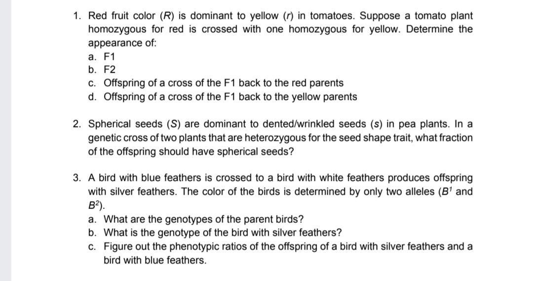 Solved Spherical seeds (S) are dominant to dented/wrinkled | Chegg.com