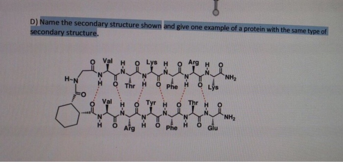 Solved Name the secondary structure shown and give one | Chegg.com