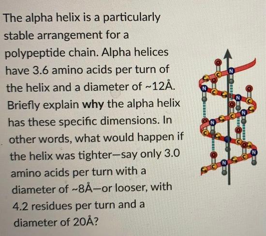 Solved The alpha helix is a particularly stable arrangement | Chegg.com