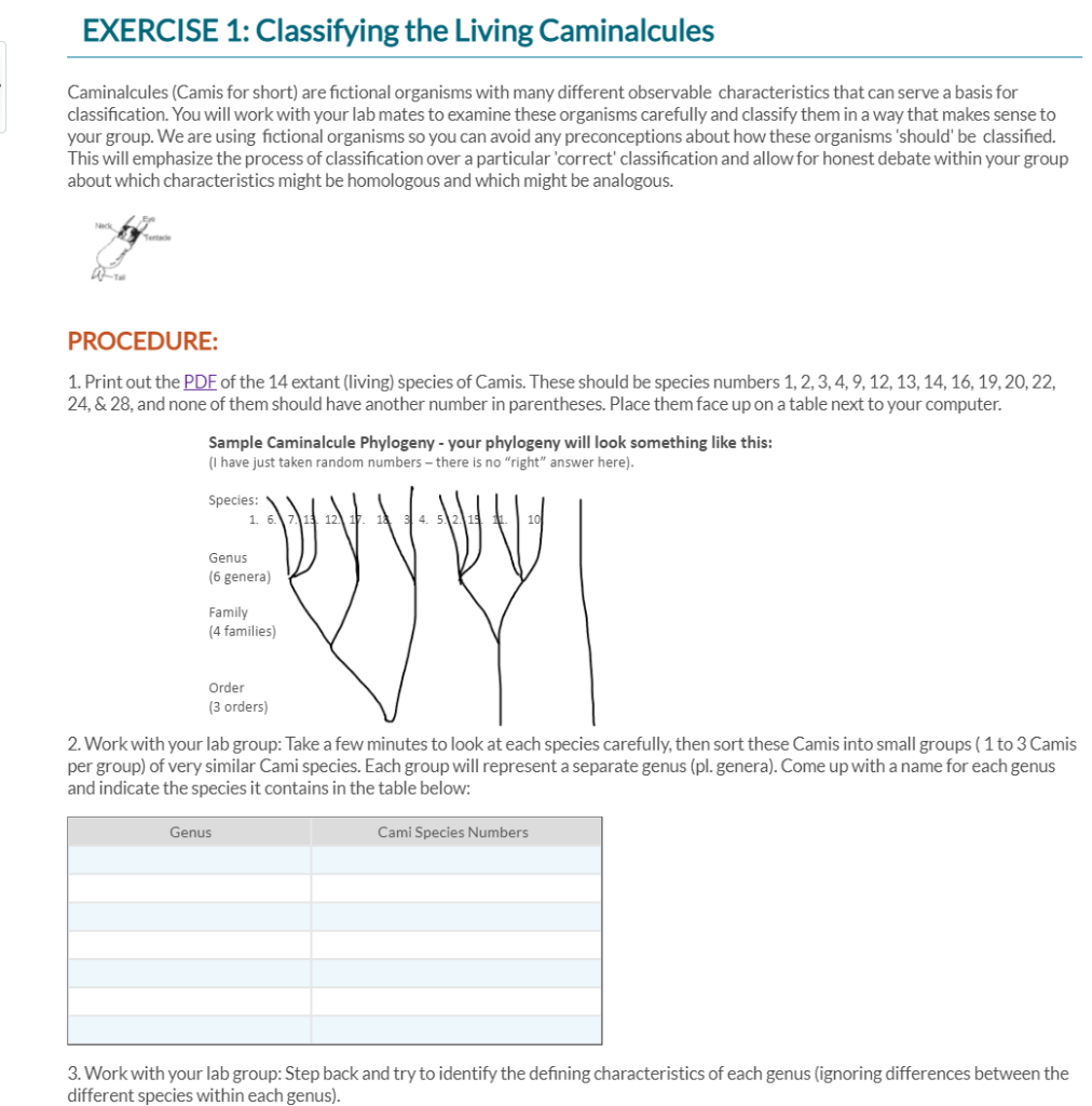 EXERCISE 1: Classifying the Living Caminalcules | Chegg.com