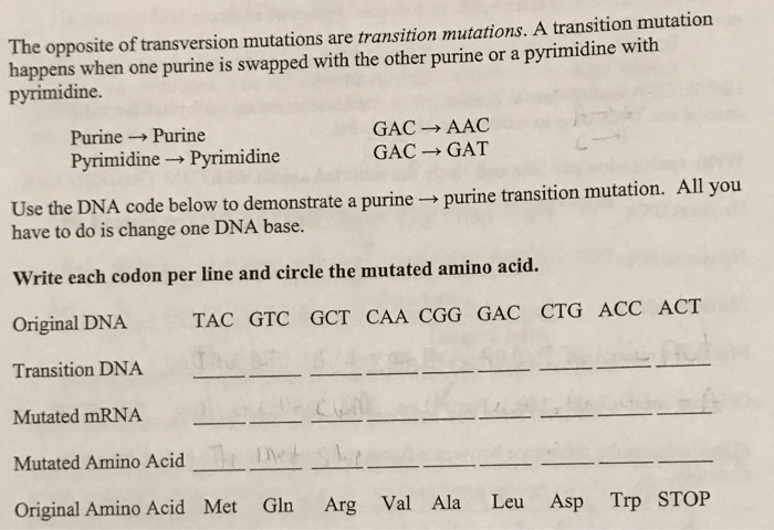 Solved The opposite of transversion mutations are transition | Chegg.com