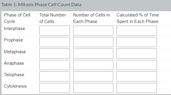 Solved Part 1: Calculating Time Spent in Each Cell Cycle | Chegg.com