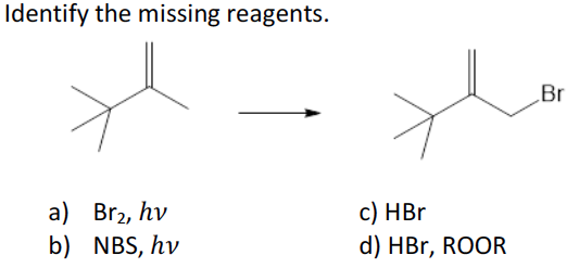 Solved Which of the following is the chain initiation step | Chegg.com