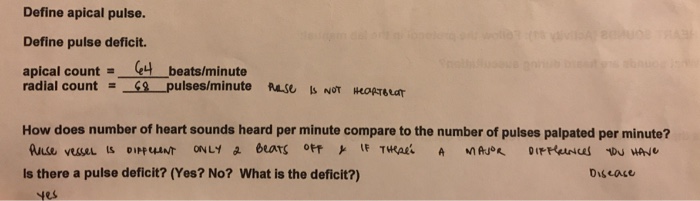 Anatomy And Physiology Archive | July 19, 2017 | Chegg.com