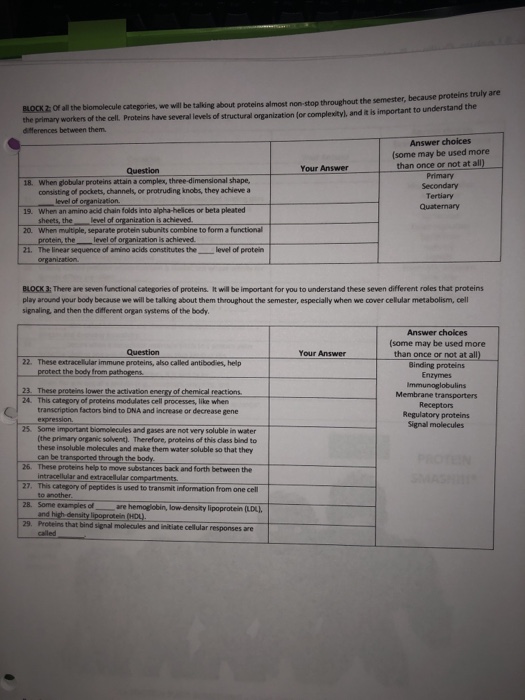 Solved BIO 206-General Human Physiology Homework Assignment | Chegg.com