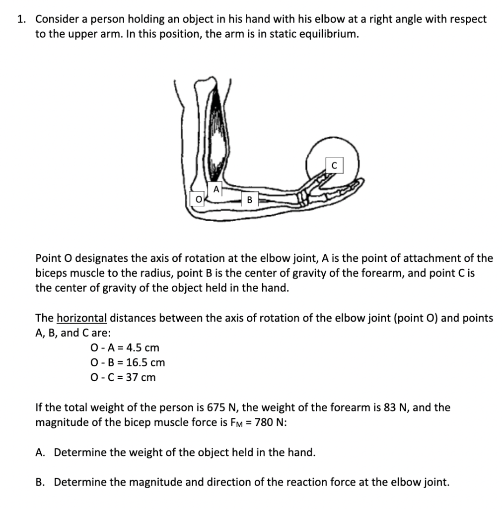 Solved 1. Consider a person holding an object in his hand | Chegg.com
