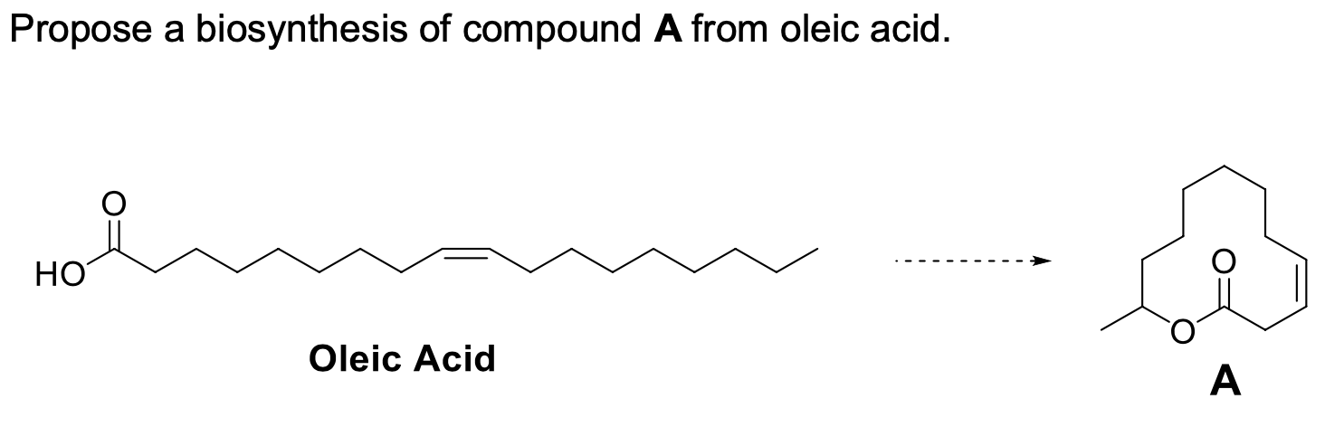 Solved Propose a biosynthesis of compound A from oleic acid. | Chegg.com