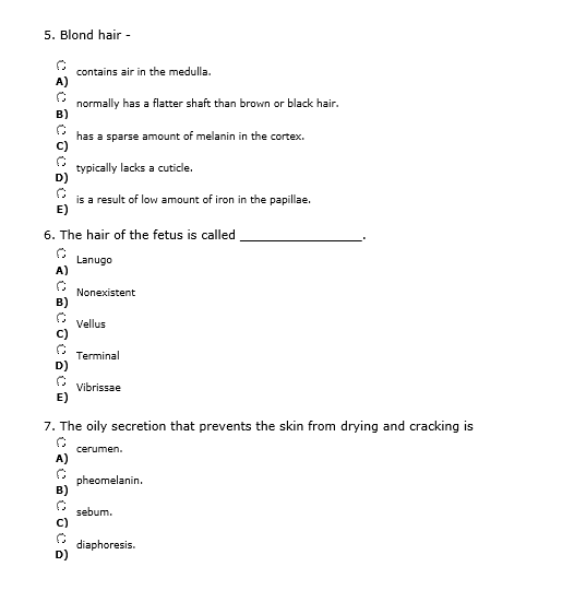 Solved 1. Select the layer below that contains dividing | Chegg.com