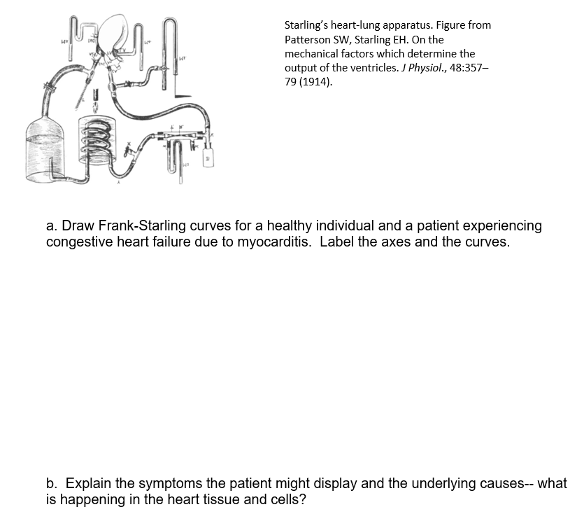 Solved Starling's heart-lung apparatus. Figure from | Chegg.com