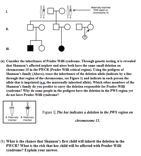 Solved 1. Maternally Imprinted PWS region on chromosome 15 | Chegg.com
