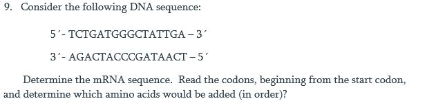 Solved 9. Consider the following DNA sequence: | Chegg.com