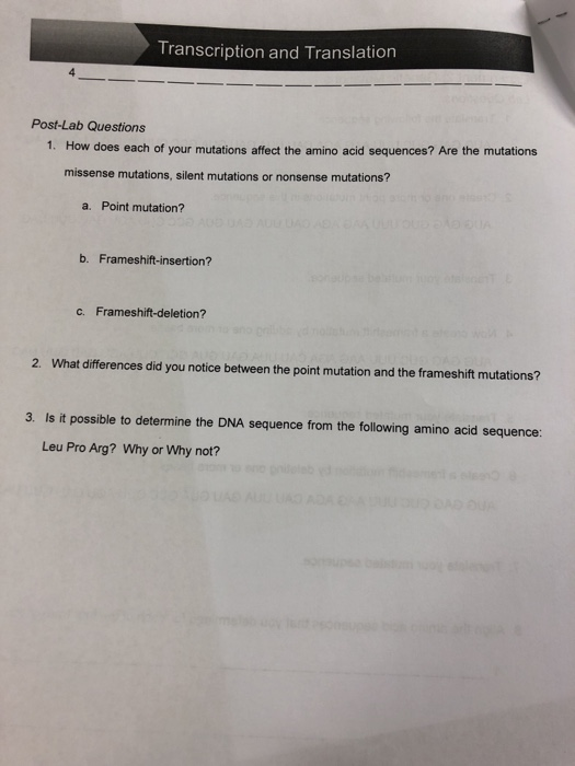 Solved Transcription and Translation Experiment 2: Genetic | Chegg.com