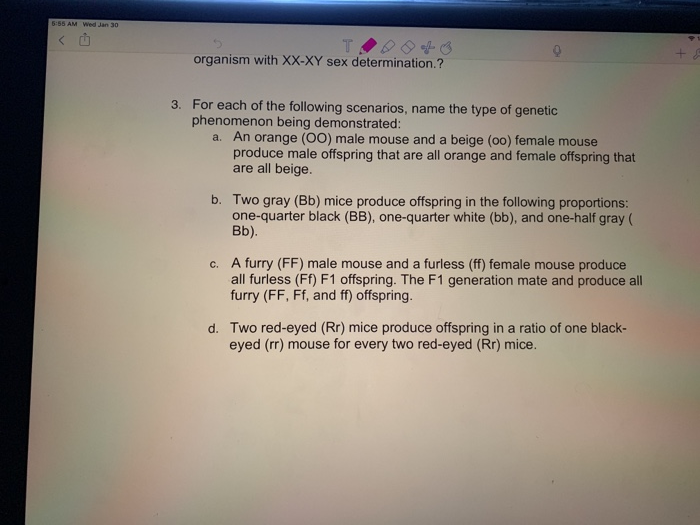 Solved Organism With Xx Xy Sex Determination For Each Of