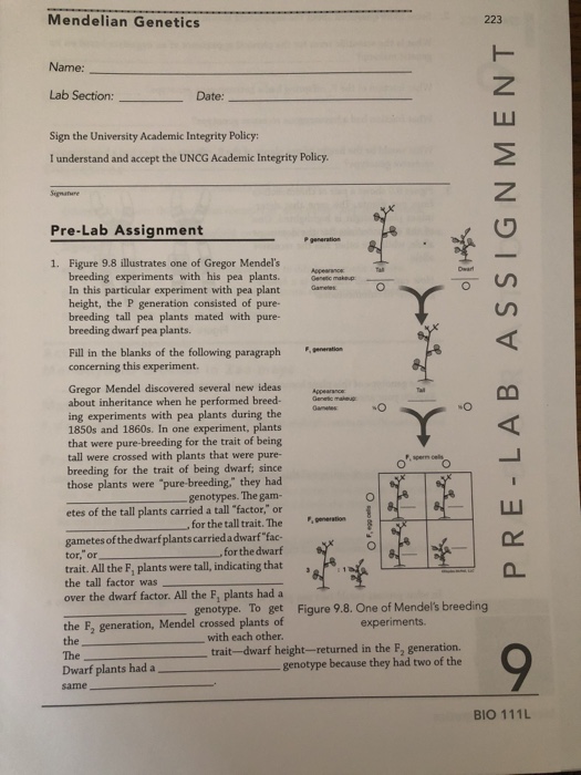 Solved Mendelian Genetics 223 Name: Lab Section:_ Sign the | Chegg.com