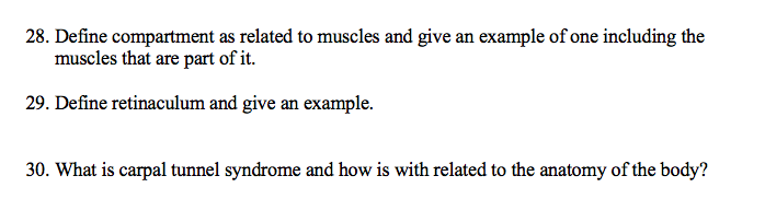 Solved 28. Define compartment as related to muscles and give | Chegg.com
