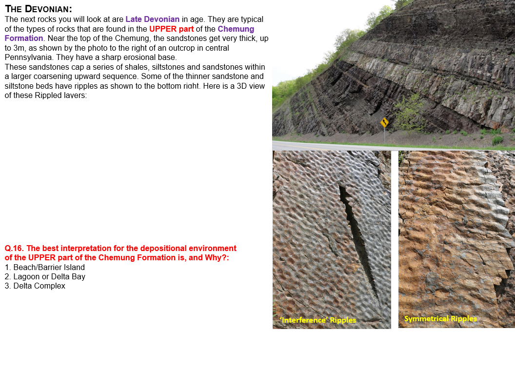 Solved THE DEVONIAN: The next rocks you will look at are | Chegg.com