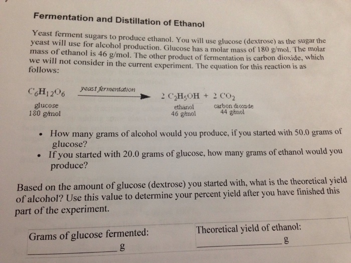 Solved Fermentation and Distillation of Ethanol yeast will | Chegg.com