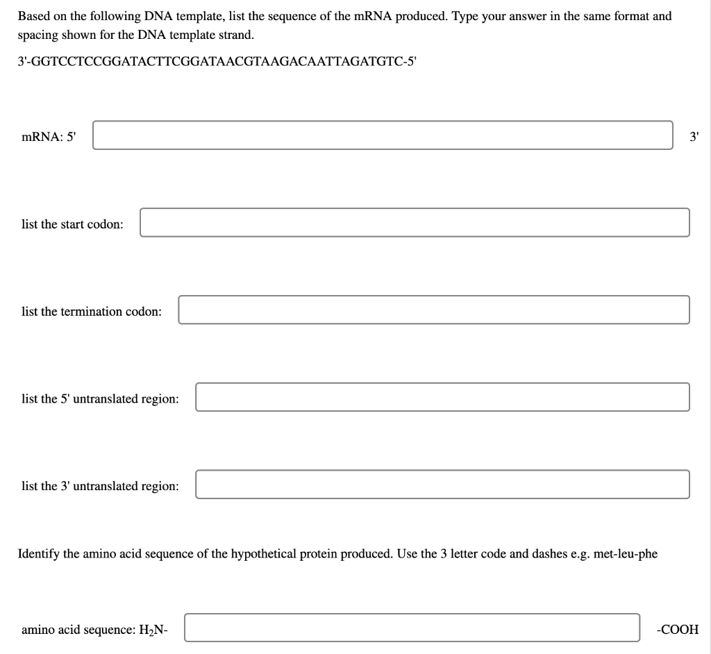 Solved Based on the following DNA template, list the | Chegg.com