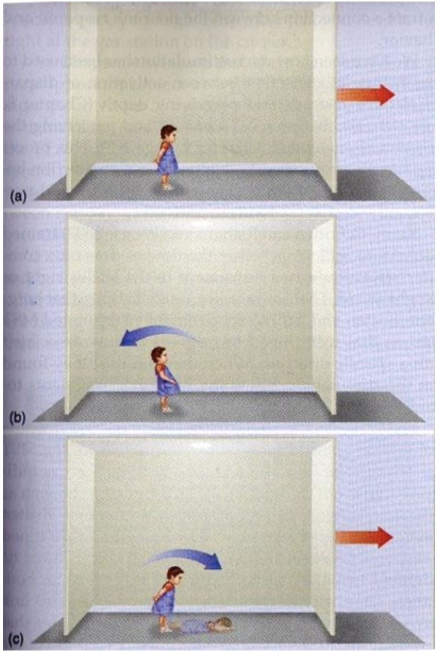 Solved Write a caption for the figure. Keep it short and | Chegg.com