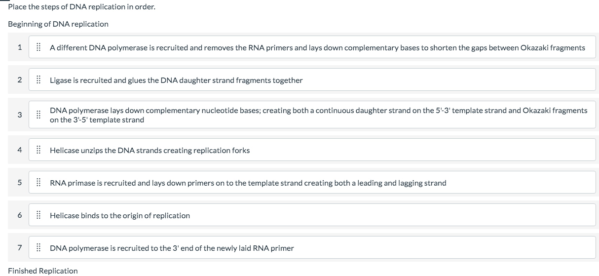Solved Place the steps of DNA replication in order. | Chegg.com