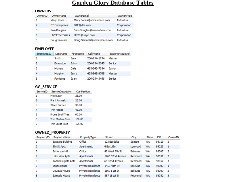 Solved Q1 Write A Sql Statement To List All The Information