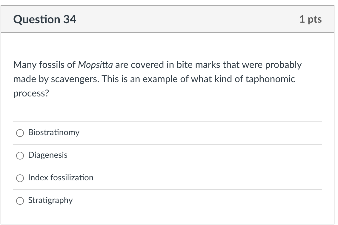 Solved Question 34 1 pts Many fossils of Mopsitta are | Chegg.com