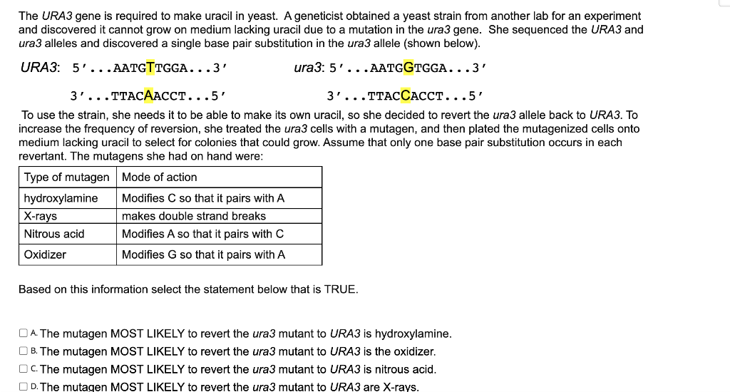 Solved The URA3 gene is required to make uracil in yeast. A | Chegg.com