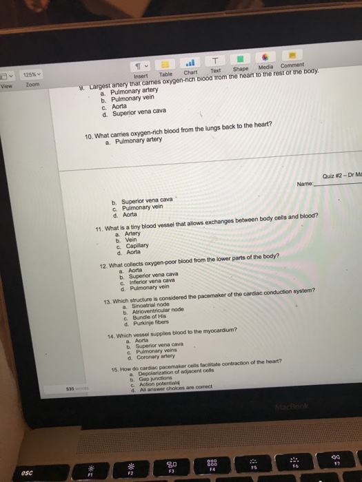 Solved ? : 125 View Zoom Insert Table Chart Text Shape Media | Chegg.com