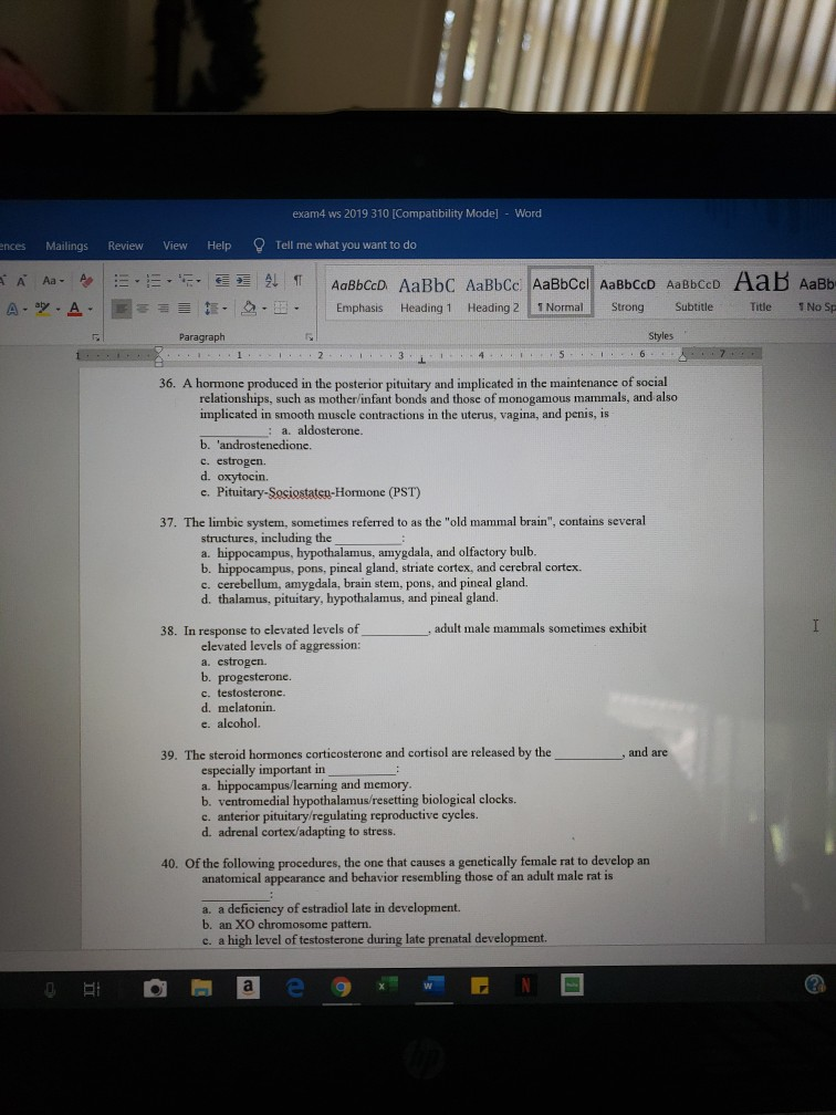 Solved Word exam4 ws 2019 310 [Compatibility Mode] ferences | Chegg.com