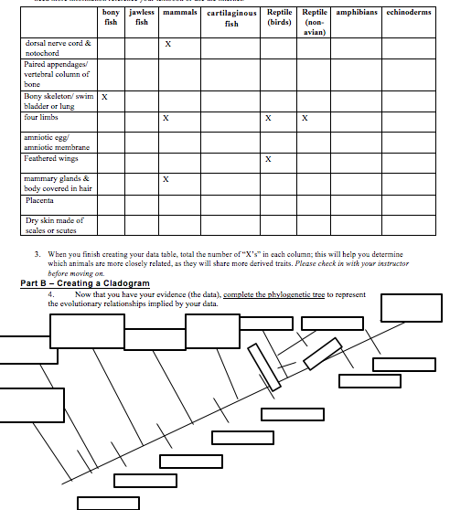 Fill out the table and create a Phylogenetic Tree for | Chegg.com