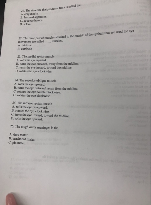 Solved 21. The structure that produces tears is called the | Chegg.com