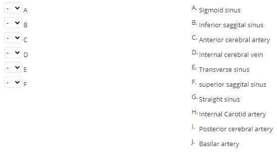 Solved Name the blood vessels identified by the letters A-F | Chegg.com