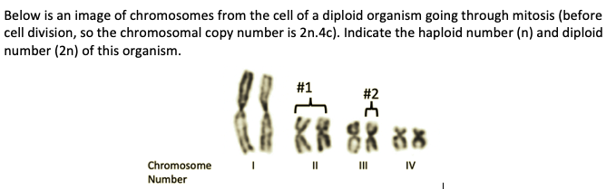Solved Below is an image of chromosomes from the cell of a | Chegg.com