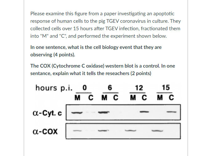 Solved Please examine this figure from a paper investigating | Chegg.com