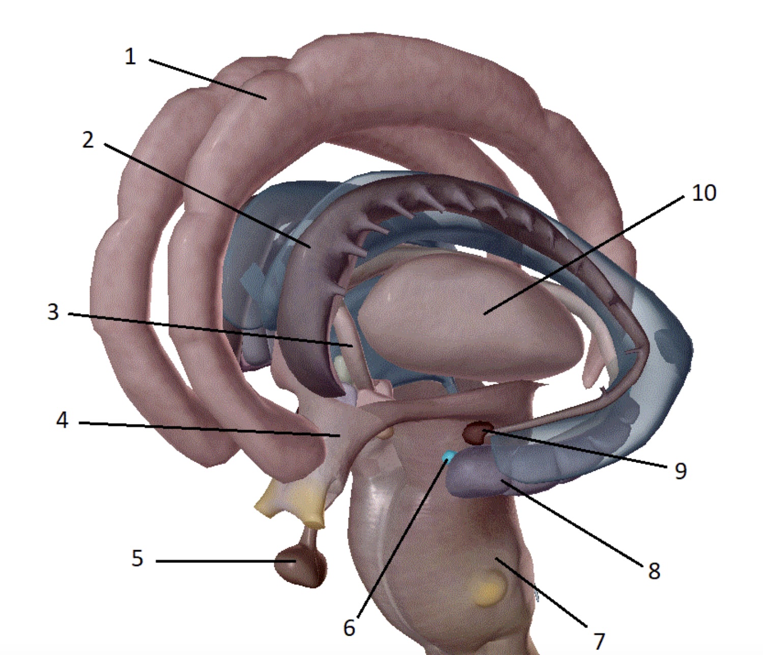 Solved label | Chegg.com