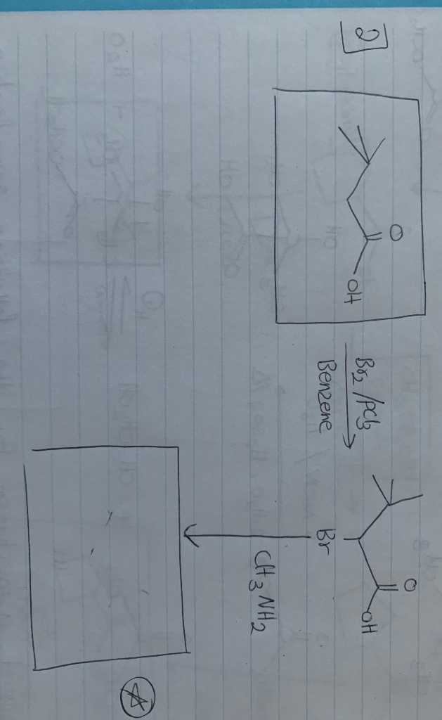Solved Benzene CH2 NH2 | Chegg.com